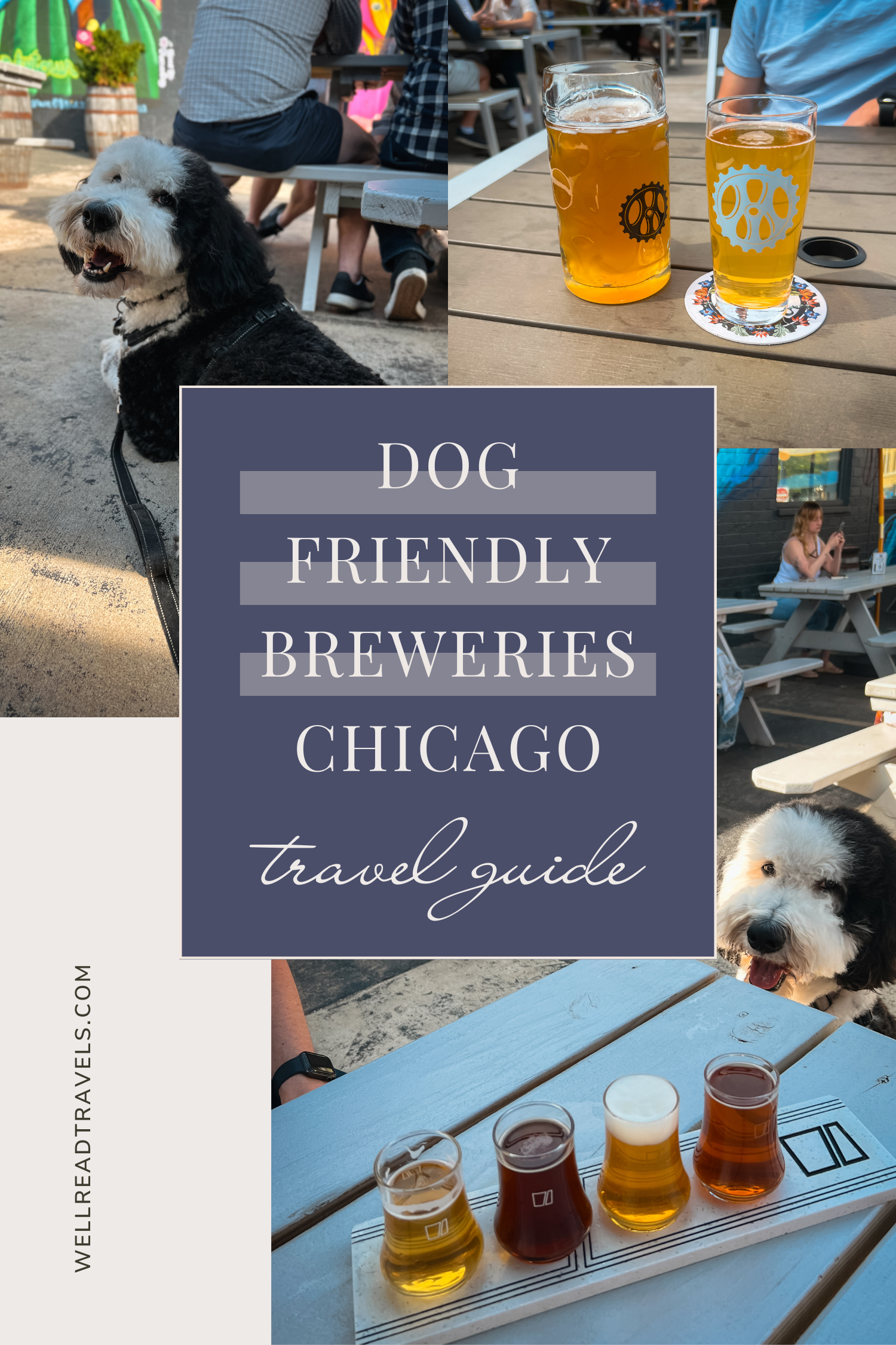15 Dog-Friendly Breweries in Chicago - Well Read Travels